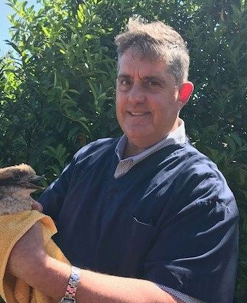 Moss Vale Veterinary Hospital - Book Online with Best for Pet