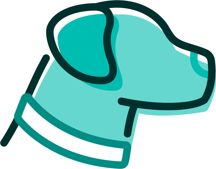 Moodle breed guide - Best for Pet