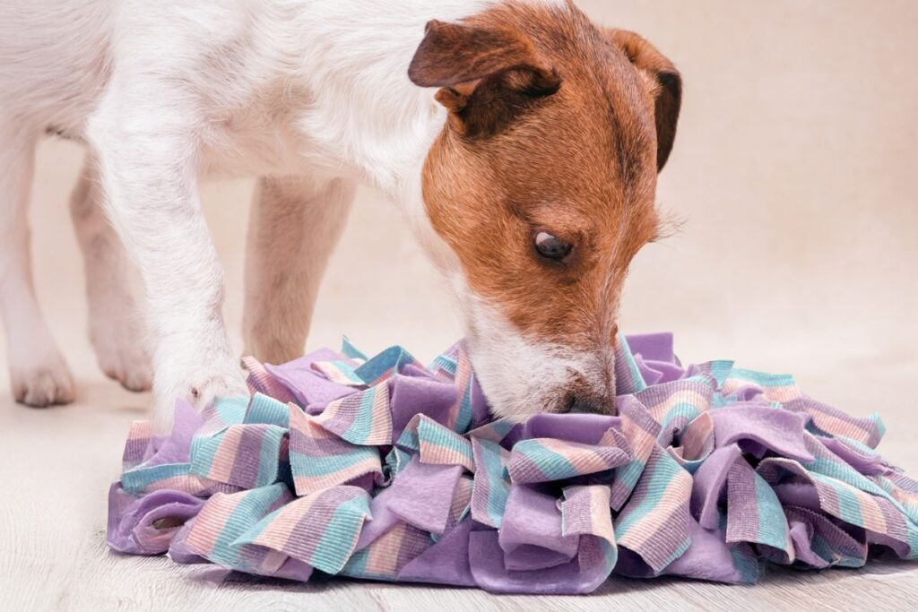 Easy DIY snuffle mat for dogs and cats - Best for Pet