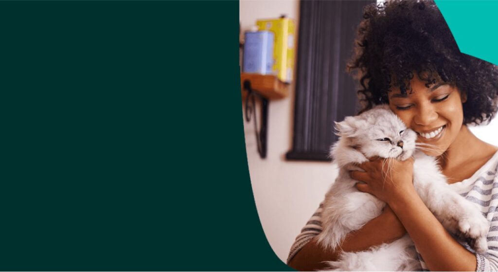 Emergency Vet | 24 Hour and After Hour Emergency Vet Near Me